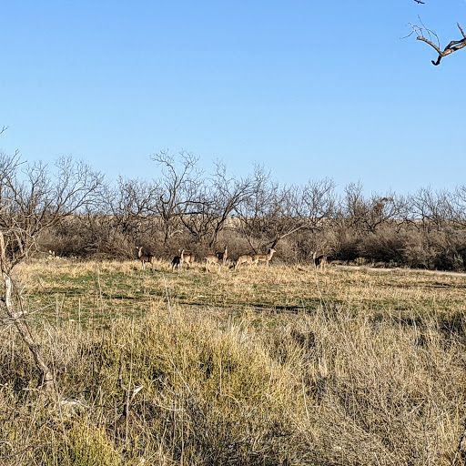 San Angelo State Park - AZexplained