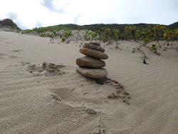 Bonza Bay beach 🏖️ Vzhodni rt, Južna Afrika - podrobne funkcije ...
