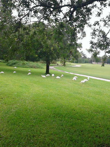 Golf Course «The Bridges at Springtree Golf Club», reviews and photos ...