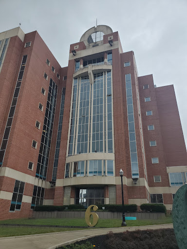 Dreese Lab - AZexplained