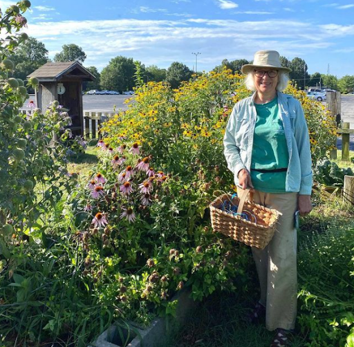 Springfield Community Gardens - AZexplained