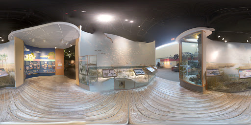Natural History Museum «Florida Museum of Natural History», reviews and ...
