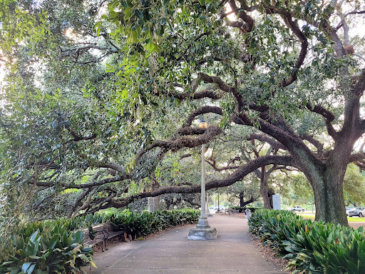 City-Brooks Community Park - AZexplained