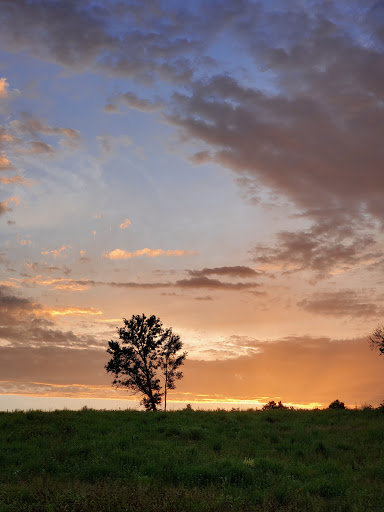 Nature Preserve «Shaw Nature Reserve», reviews and photos, 307 Pinetum ...