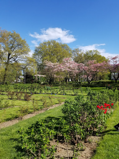 Park «Pardee Rose Gardens», reviews and photos, 180 Park Rd, Hamden, CT ...