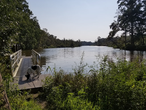 Edward H. McCabe Preserve - AZexplained