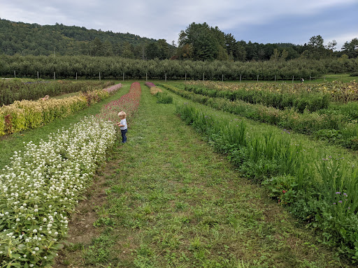 Riverview Farm - AZexplained