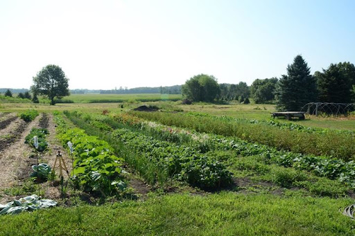 Spring Bluff Nursery CSA - AZexplained