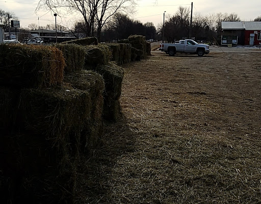 Wahoo Livestock Sales, LLC in Wahoo, Nebraska - Zaubee