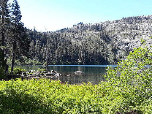 Castle Lake Campground - Castle Lake Rd, Dunsmuir, California - Zaubee