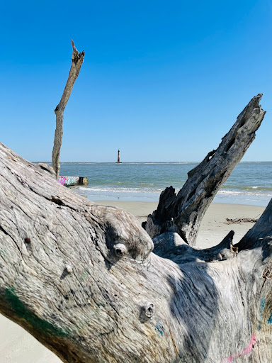 Lighthouse Inlet Heritage Preserve in Folly Beach, South Carolina - Zaubee