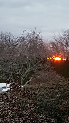 Country Club «Chippanee Golf Club», reviews and photos, 6 Marsh Rd ...