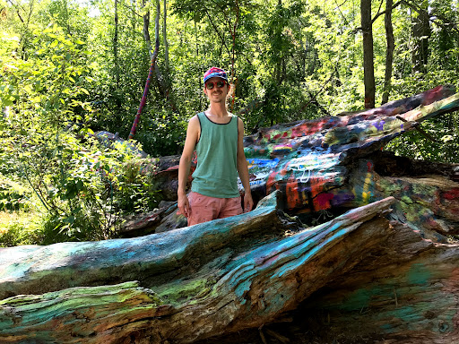 Hippie Tree in Traverse City, Michigan - Zaubee