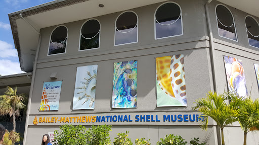 Museum «Bailey-Matthews Shell Museum», reviews and photos, 3075 Sanibel ...