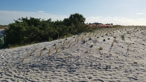 Nature Preserve «Apollo Beach Preserve», reviews and photos, 6760 ...