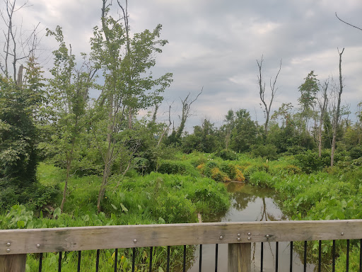 National Park «Fort Hunt Park», reviews and photos, 8999 Fort Hunt Rd ...