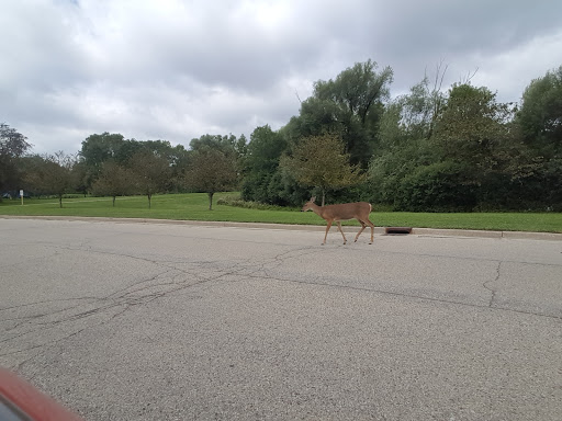 Public Golf Course «Greenfield Golf Course», reviews and photos, 12035 ...