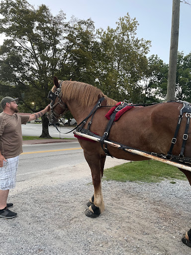 Pegasus Horse Drawn Carriages in Helen, Georgia - Zaubee