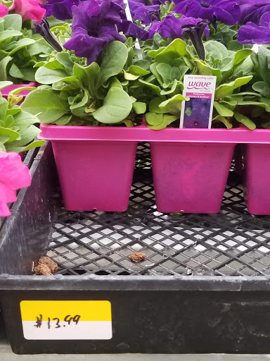 Animal Feed Store «IFA Country Stores», reviews and photos, 1071 ...