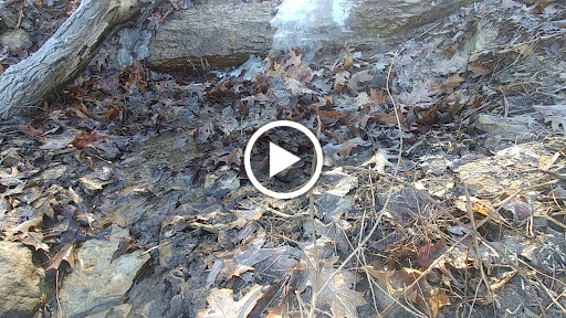 Nature Preserve «Iowa Raptor Center», reviews and photos, 2095 Mehaffey ...