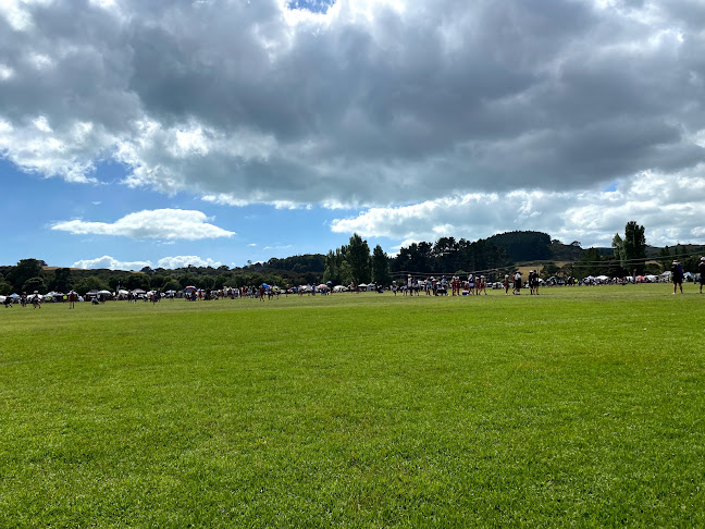 202 reviews of Te Puru Park (Pub) in Auckland (Auckland)