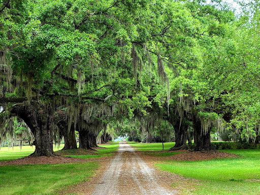 Bluff Plantation in Yemassee, South Carolina - Zaubee