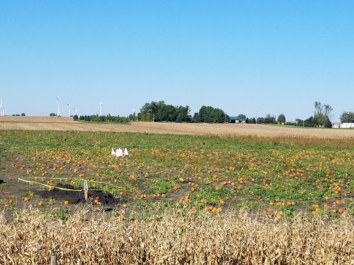 Rader Family Farms - AZexplained