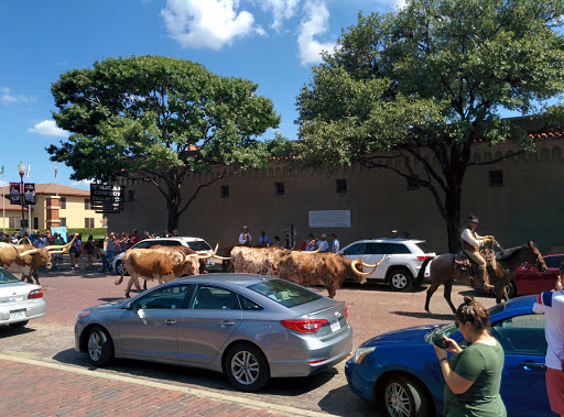 Museum «Stockyards Museum», reviews and photos, 131 E Exchange Ave ...