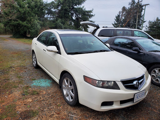 JETT Auction in Parksville, British Columbia - Zaubee