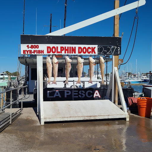 Testimonials - Dolphin Docks