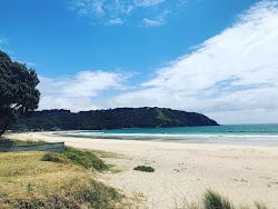 Taupo Bay Beach 🏖️ North island, New Zealand - detailed features, map ...