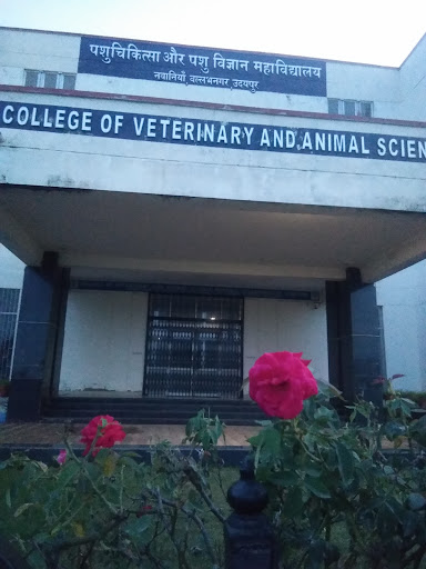 CVAS, Navania in Vallabhnagar, Rajasthan - Zaubee