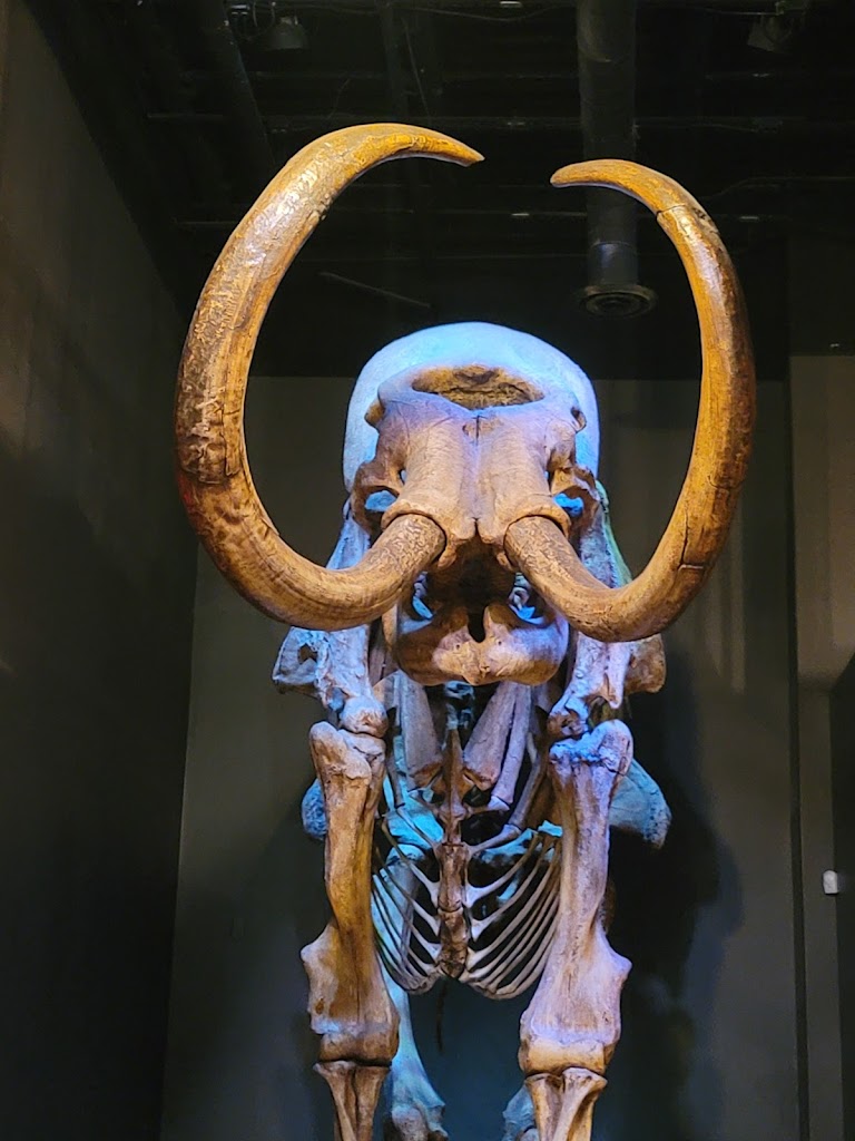 Museum of South Texas History - Edinburg, TX 78541 - Location, Reviews ...