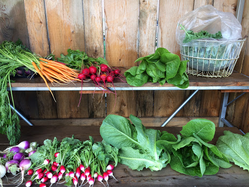 NorthWind Farm - AZexplained