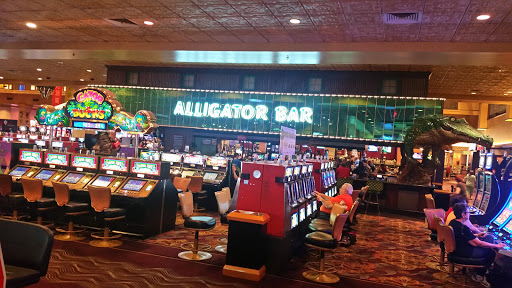 Alligator Bar