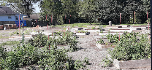 Ohio Street Community Garden - AZexplained