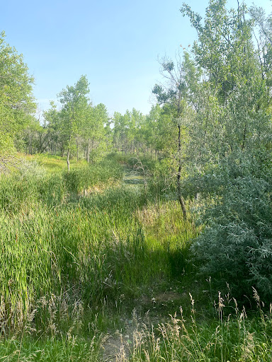 Doudy Draw Trailhead in Boulder, Colorado - Zaubee