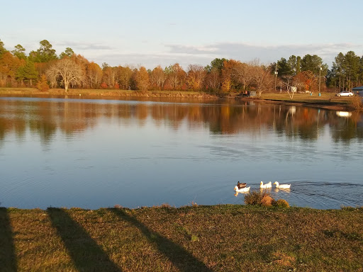 Walter B Williams Junior Park - AZexplained