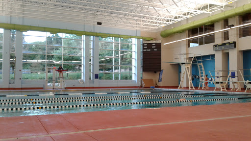 Recreation Center «The Centre of Elgin», reviews and photos, 100 ...