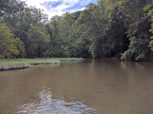 Nature Preserve «Shannondale Springs Wildlife Management Area», reviews ...