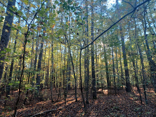 Carolina North Forest - AZexplained