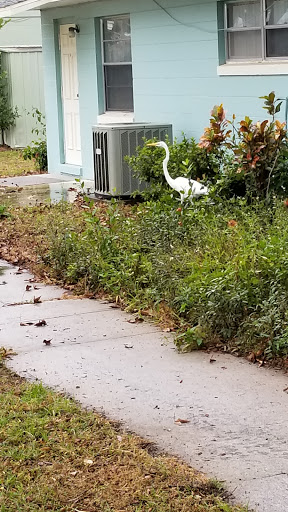 Maranatha Village - AZexplained