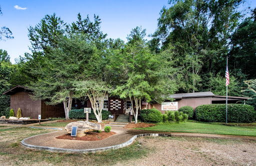 Mississippi Petrified Forest - AZexplained