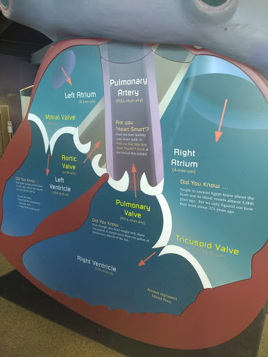 Movie Theater «Chrysler IMAX® Dome Theatre at the Michigan Science ...