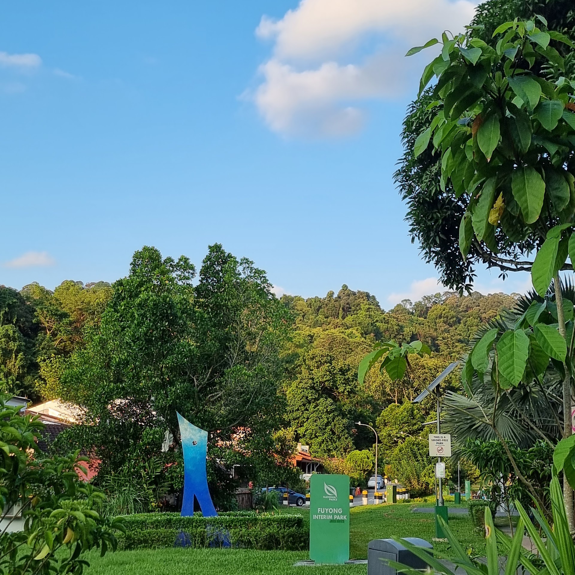 Fuyong Interim Park - reviews,open hours,photo spots,things to do ...