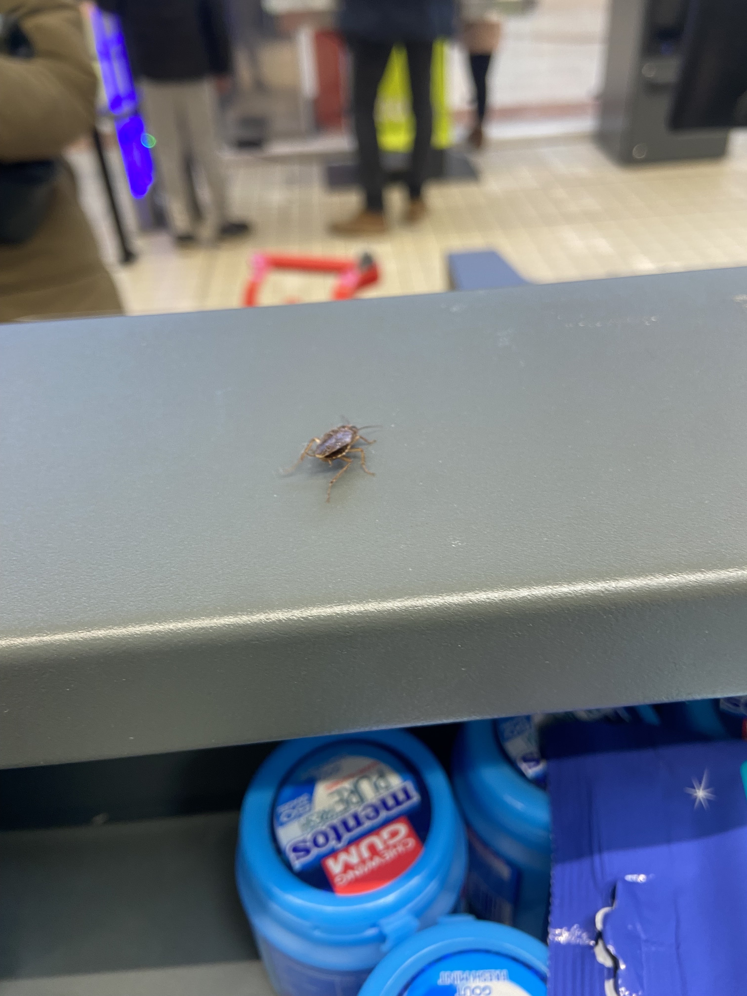 Auchan Hypermarché Caluire à Caluire-et-Cuire | 5600 Avis - 1 Photos