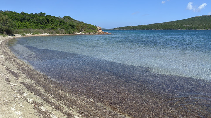 Spiaggia La Conchiglia 🏖️ Lu Caloni, Sardinia Adası, İtalya - detaylı ...