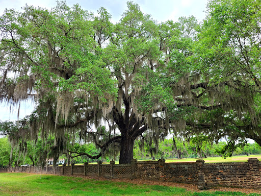 Bluff Plantation in Yemassee, South Carolina - Zaubee