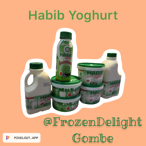 Frozen Delight (HABIB YOGHURT AND FURA) - Food Court in Gombe