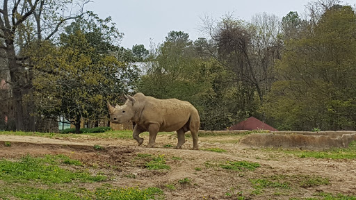 Zoo «The Jackson Zoological Park», reviews and photos, 2918 W Capitol ...